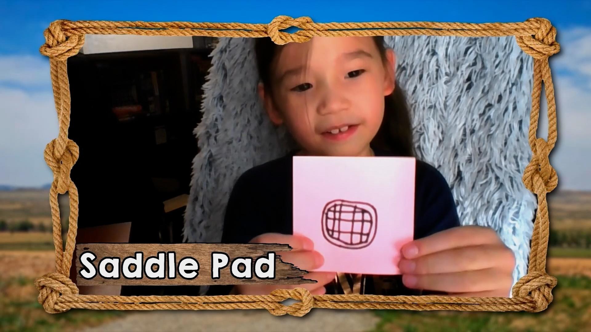 Kid Expert: Horses | Camp TV | THIRTEEN - New York Public Media