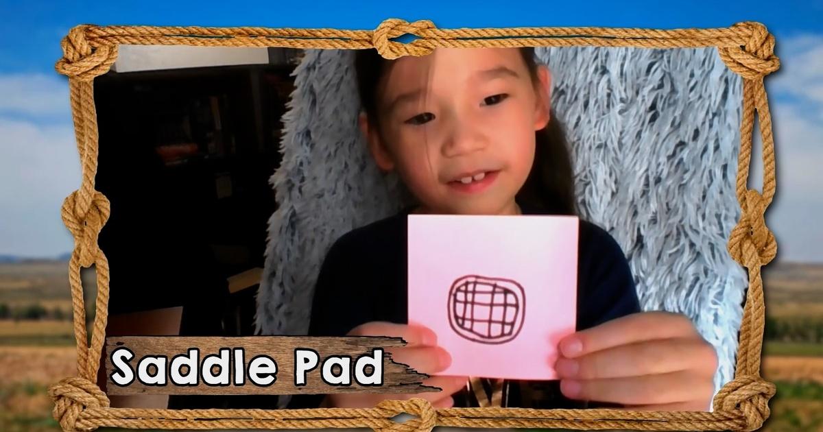 Camp TV | Kid Expert: Horses | Season 2023 | PBS