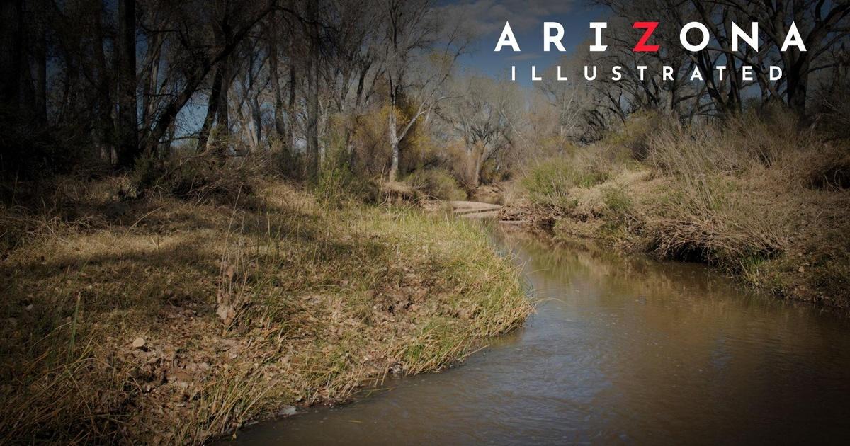 Arizona Illustrated | From Sierra Vista | Season 2023 | Episode 931 ...