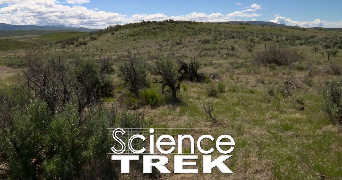 Science Trek | Deserts: Semiarid Deserts | PBS