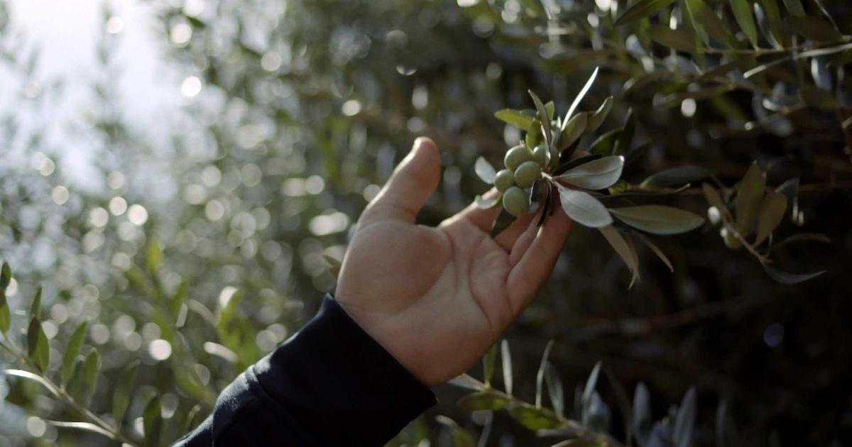 Tending Nature | Reclaiming Agriculture with the Yocha Dehe Wintun ...