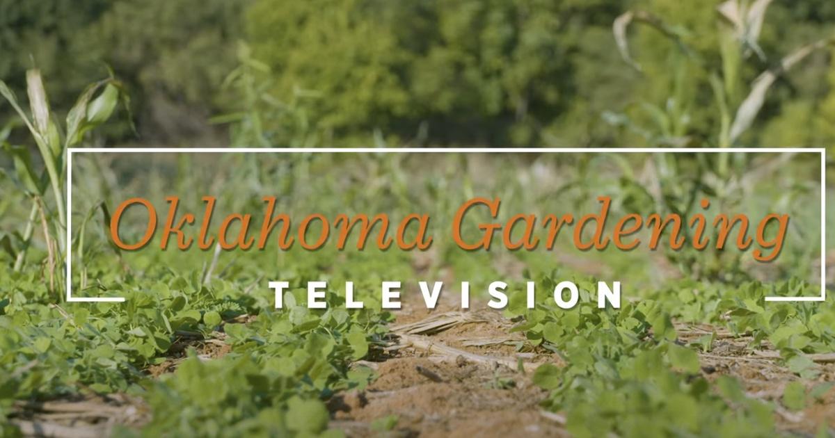 Oklahoma Gardening | Oklahoma Gardening October 26, 2024 | Season 51 ...
