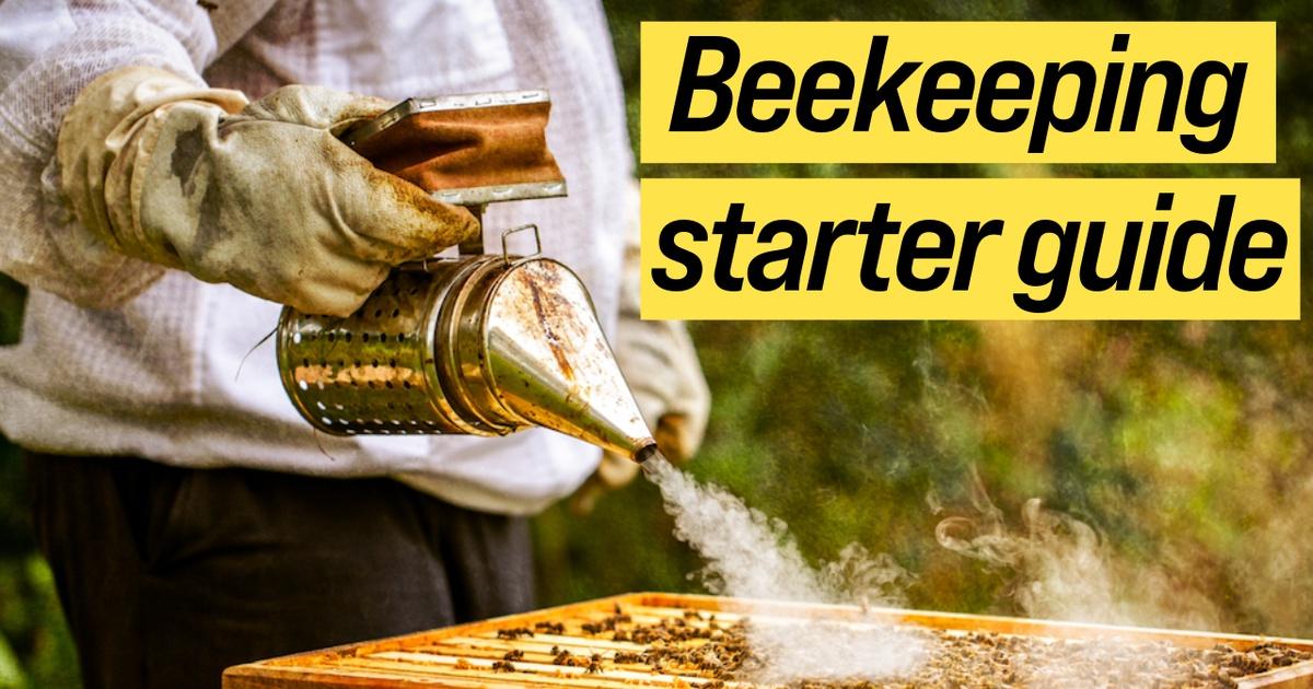 Year-Round Gardening | Beekeeping: Getting Started | Season 2 | Episode 12 | PBS