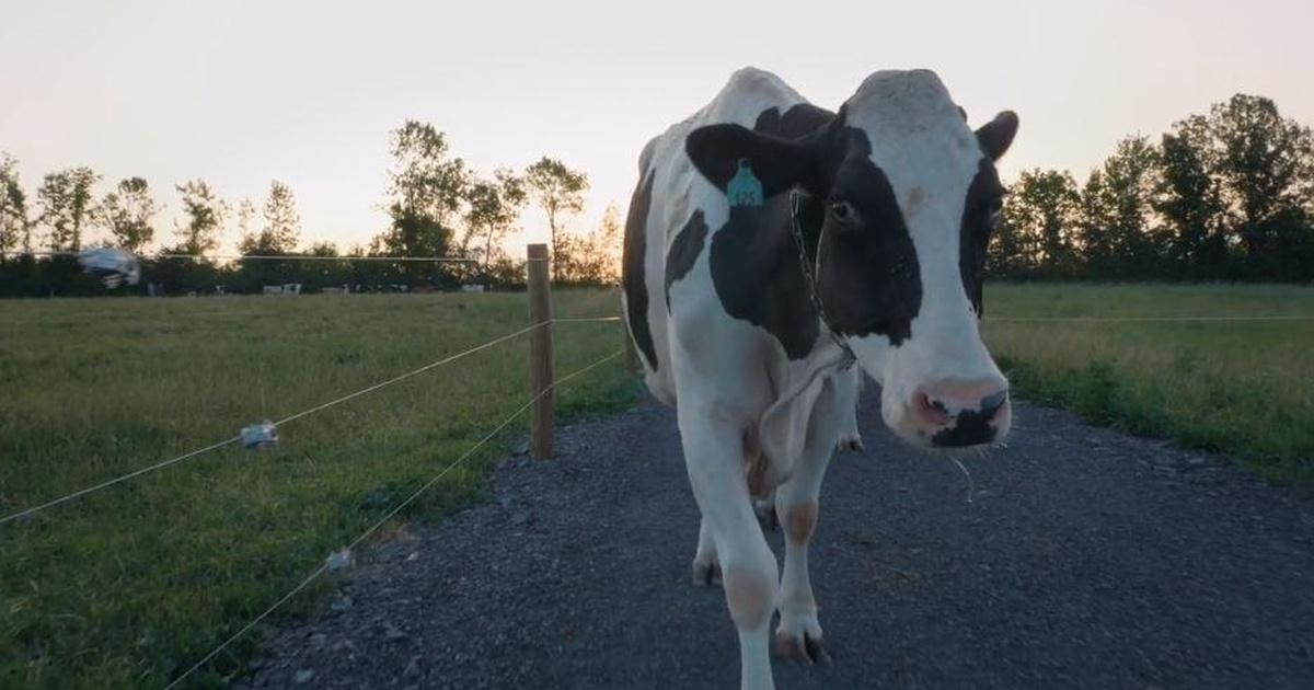 Made Here | Faces of Vermont Agriculture | Season 8 | Episode 1 | PBS