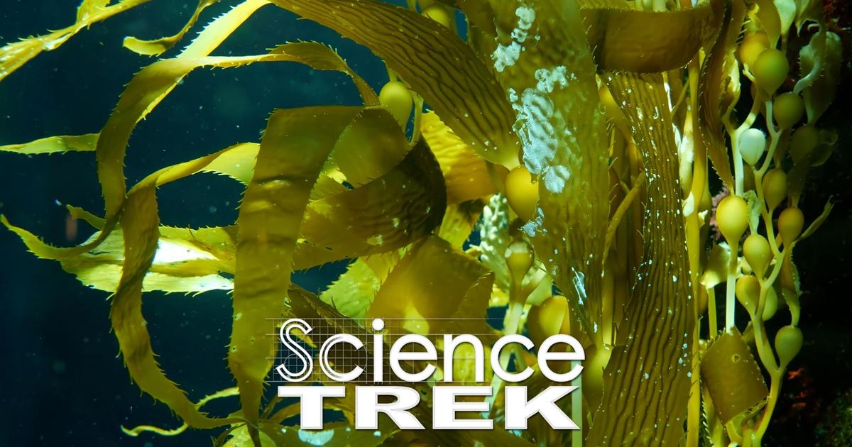 Science Trek | IdahoPTV