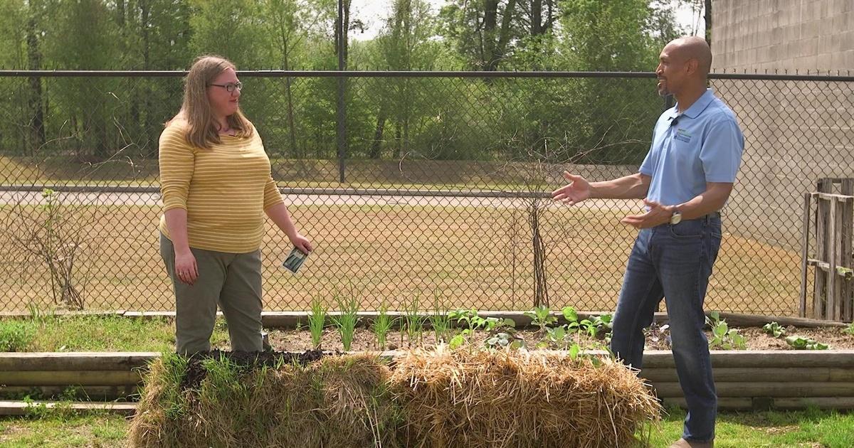 The Family Plot Preparing And Planting A Straw Bale Garden Garden