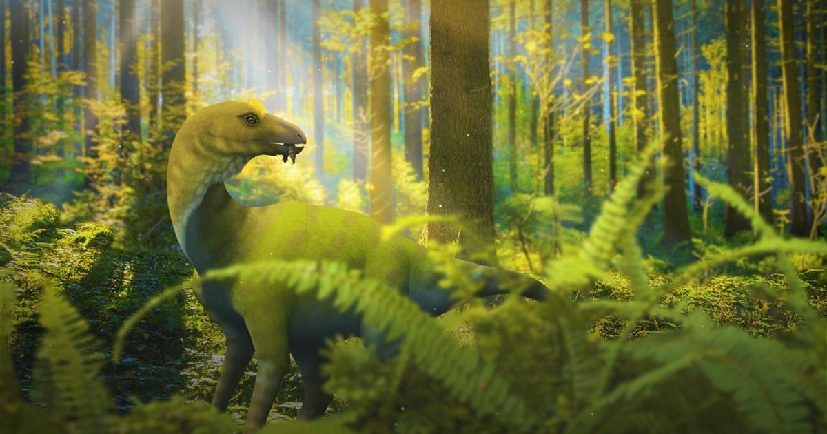 Eons | When Dinosaurs Threw Up A Mystery | PBS