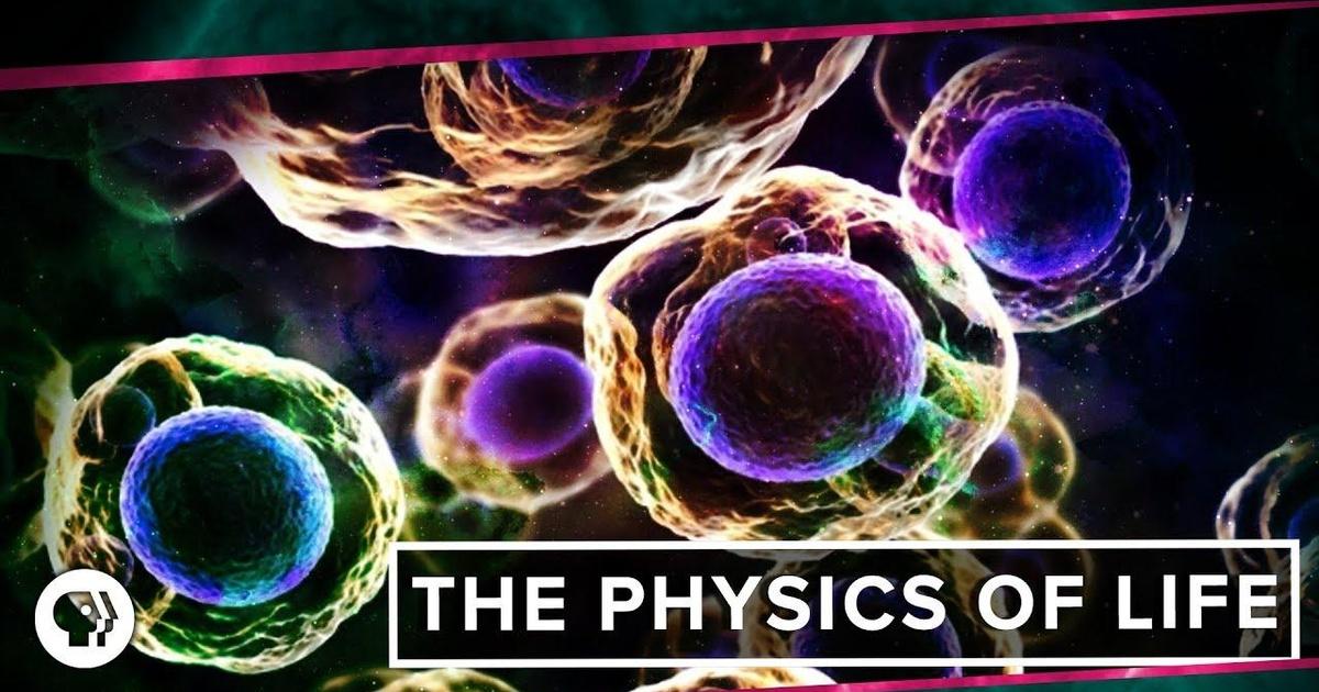 PBS Space Time | The Physics of Life (ft. It's Okay to be Smart & PBS ...