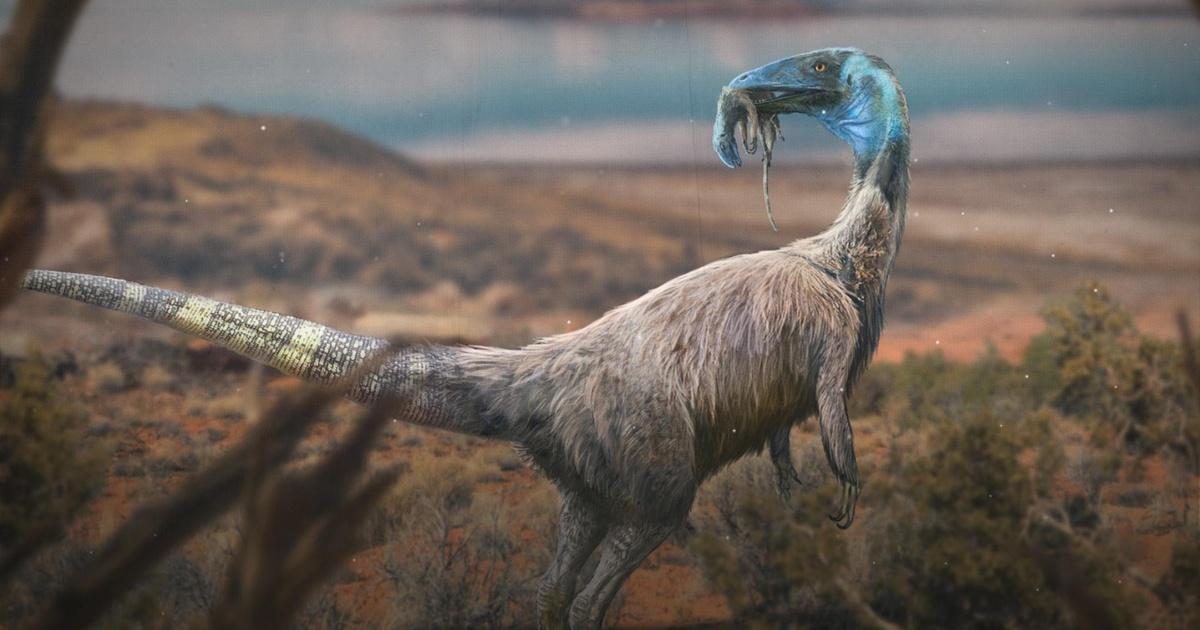 Eons Podcast | Could You Survive The End-Triassic? | Season 2 | Episode ...