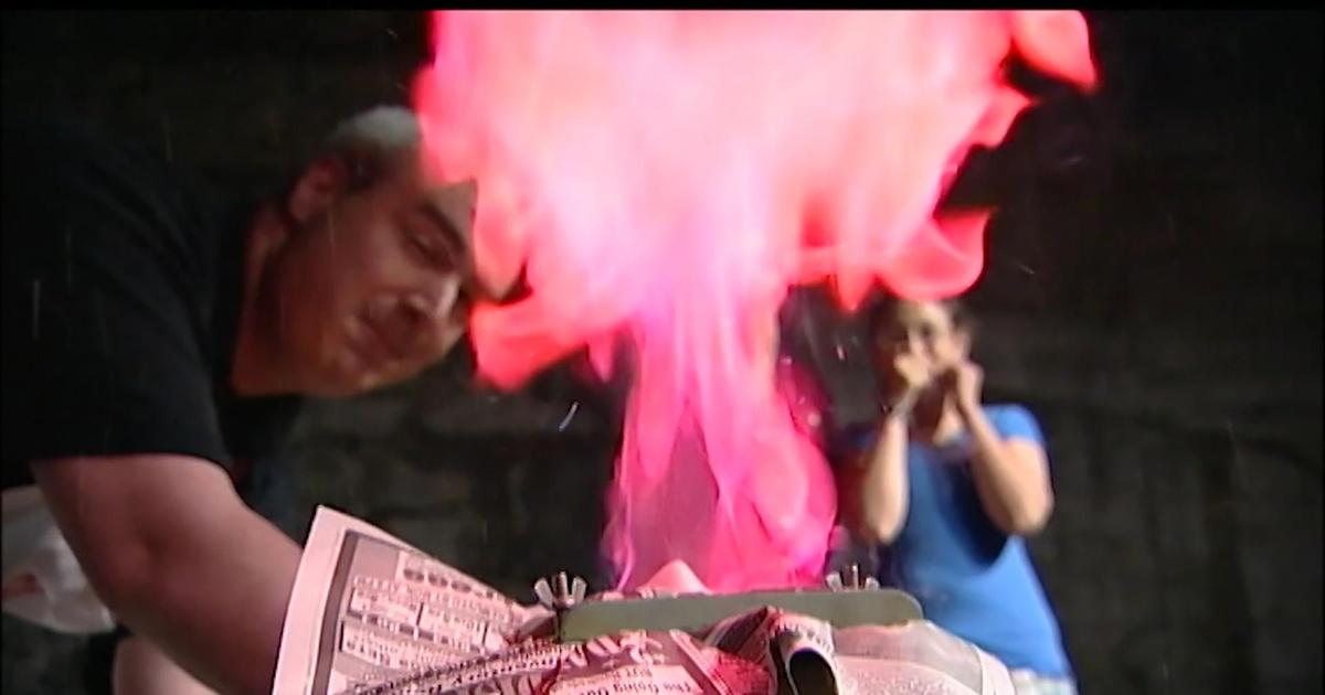 DragonflyTV | Surface Area | Season 7 | PBS