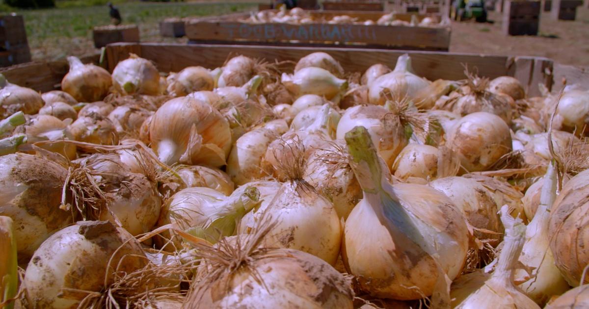 Washington Grown | Walla Walla Onions | Season 12 | Episode 1202 | PBS
