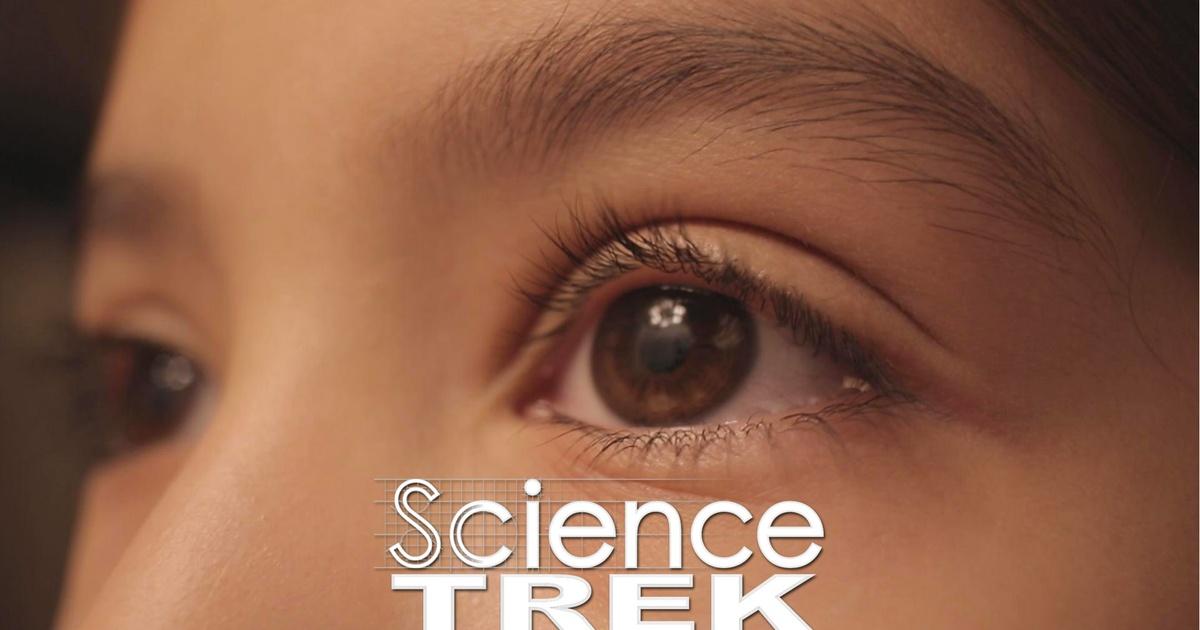Science Trek | Eyes: Seeing is Believing | PBS
