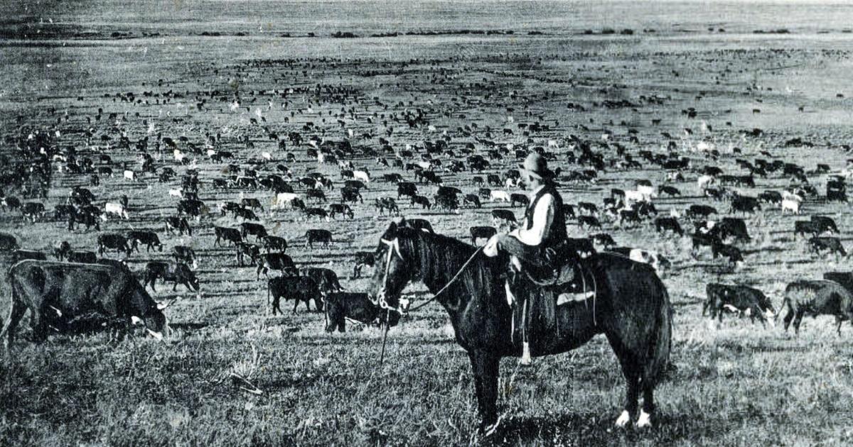 Images of the Past | Memories of the Diamond A Ranch | Season 6 ...