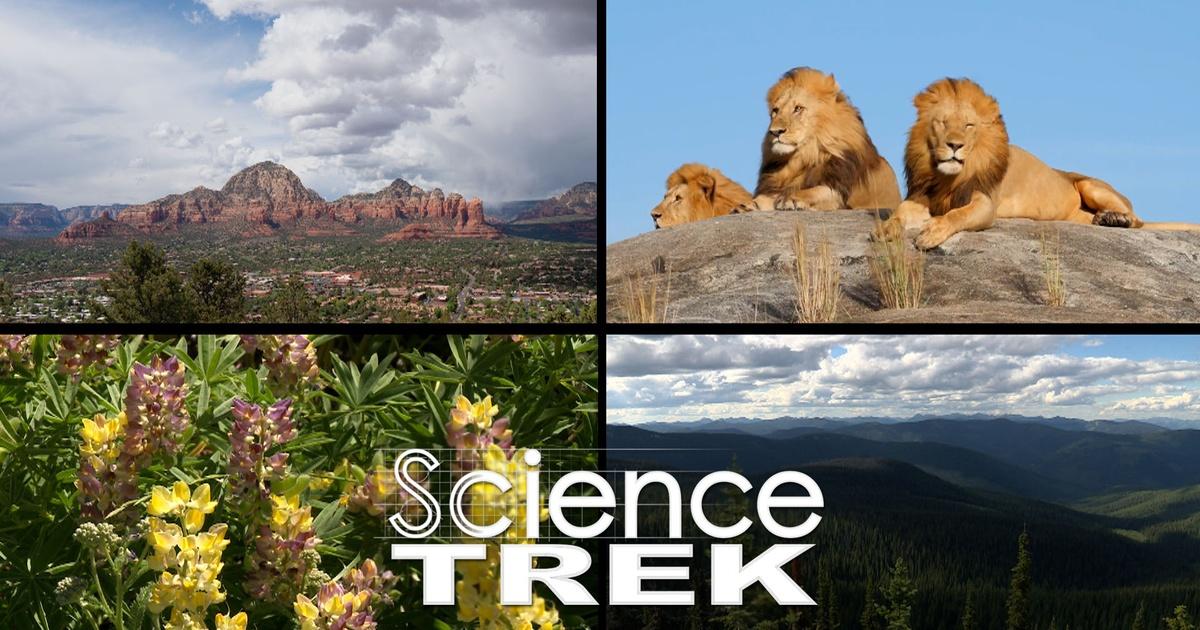 Science Trek | The Earth: What's a Biome? | Arizona PBS