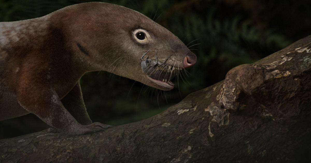 Eons | How Chewing May Have Beat Extinction | Season 8 | Episode 6 | PBS