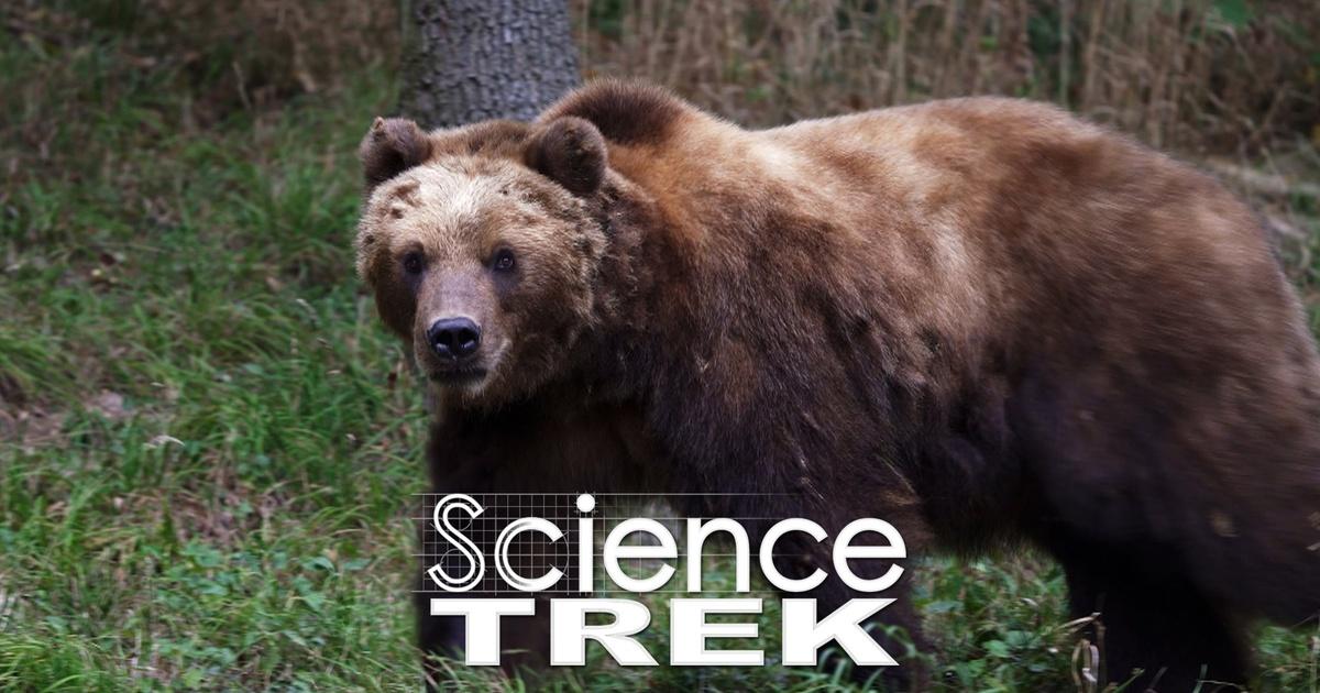 Science Trek | PBS