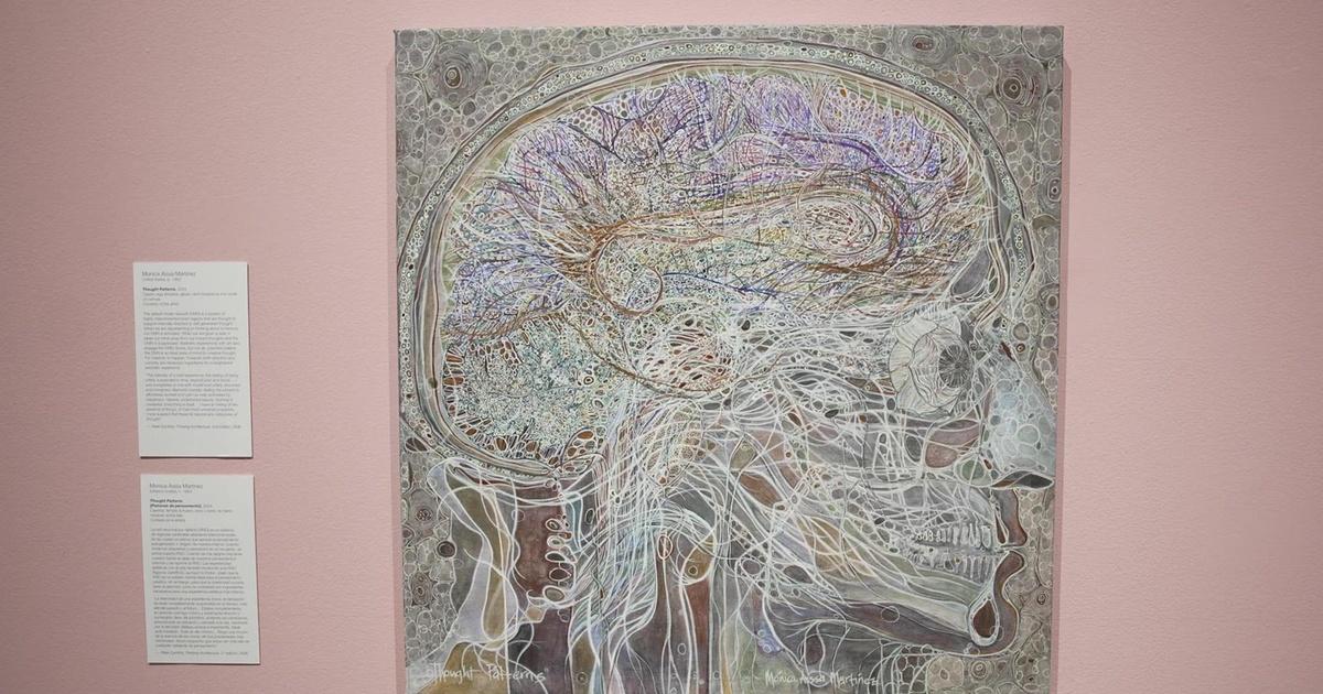 PBS News Hour | 'Brains and Beauty' explores how the mind processes art ...
