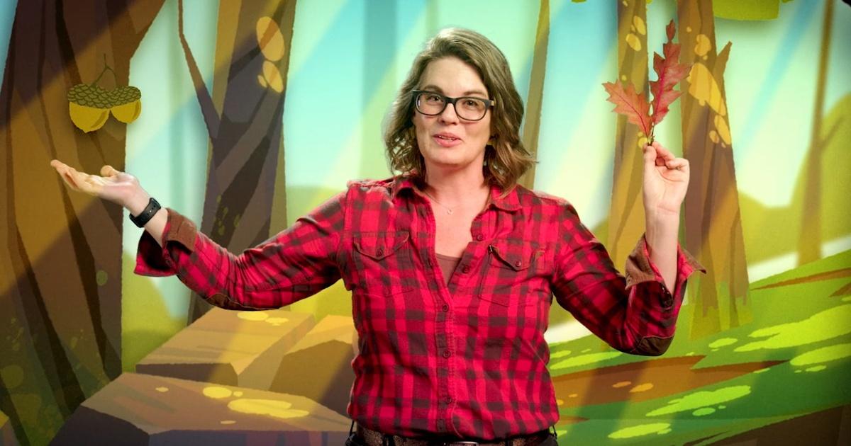 But Why – A show for curious kids | How do seeds grow into trees ...