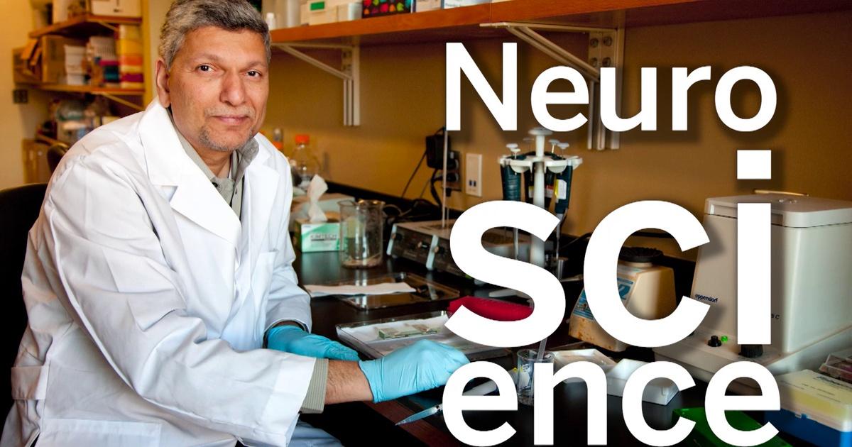 WFSU Documentary & Public Affairs | Neuroscience with Dr. Pradeep Bhide ...