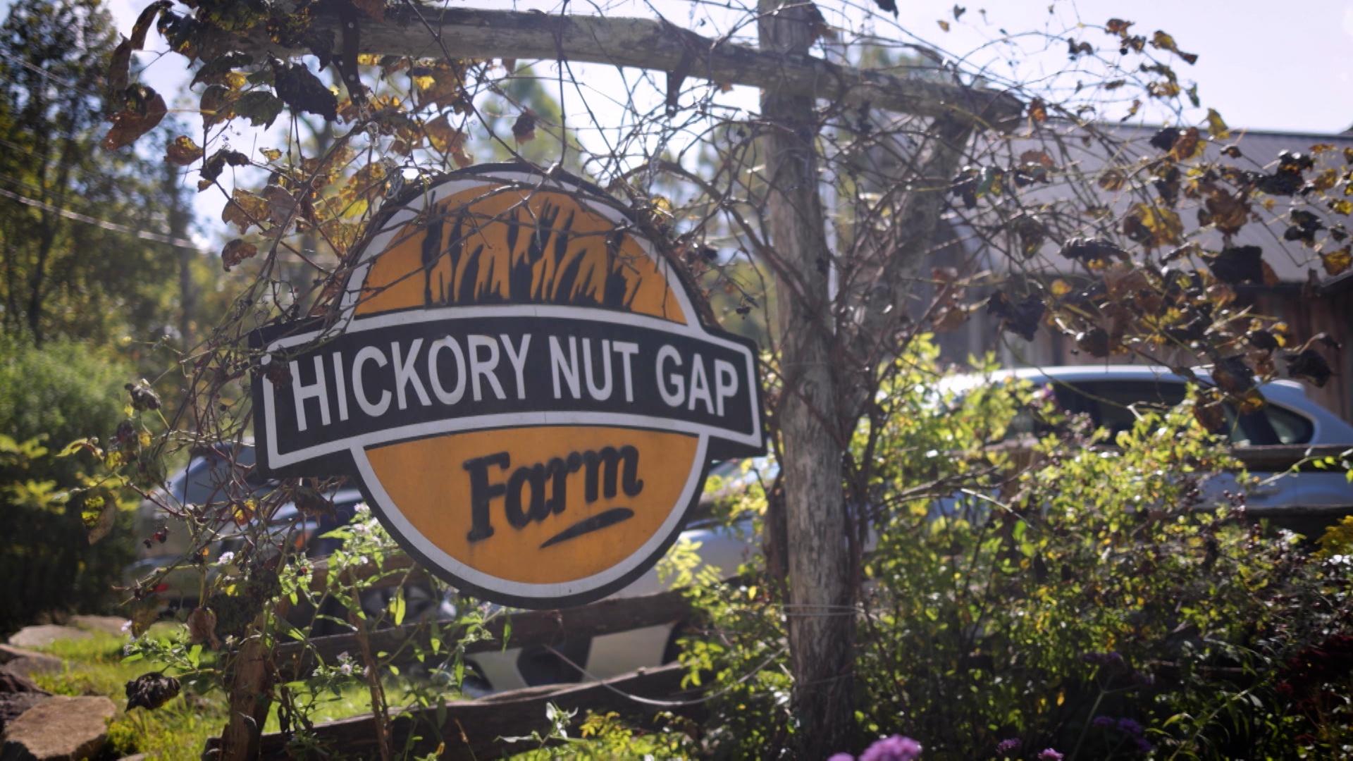 Hickory Nut Gap Farms | North Carolina Weekend | ALL ARTS