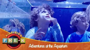 KidVision Pre-K | Adventures at the Aquarium | Virtual Field Trip ...