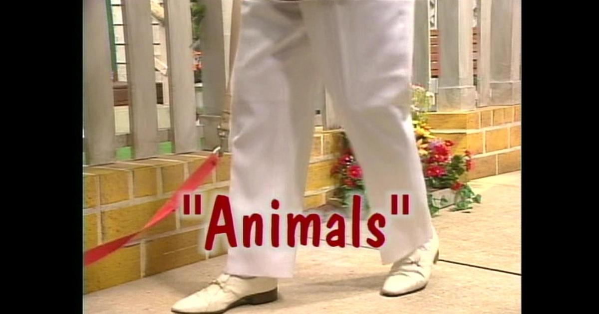 Hello, Mr. Chuck! | Animals | Season 3 | Episode 2 | PBS