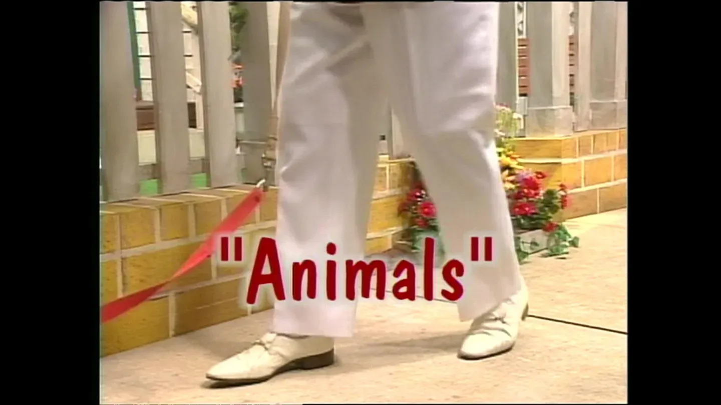 Hello, Mr. Chuck! | Animals | Season 3 | Episode 2 | PBS