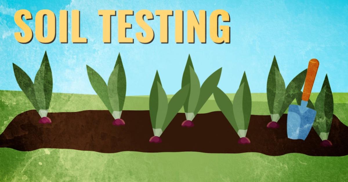 Year-Round Gardening | Soil Testing | Season 1 | Episode 16 | PBS