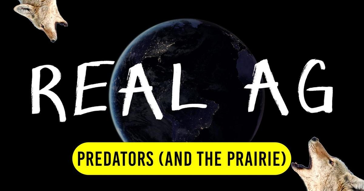 Real Ag | Predators and the Prairie | Season 13 | Episode 7 | PBS