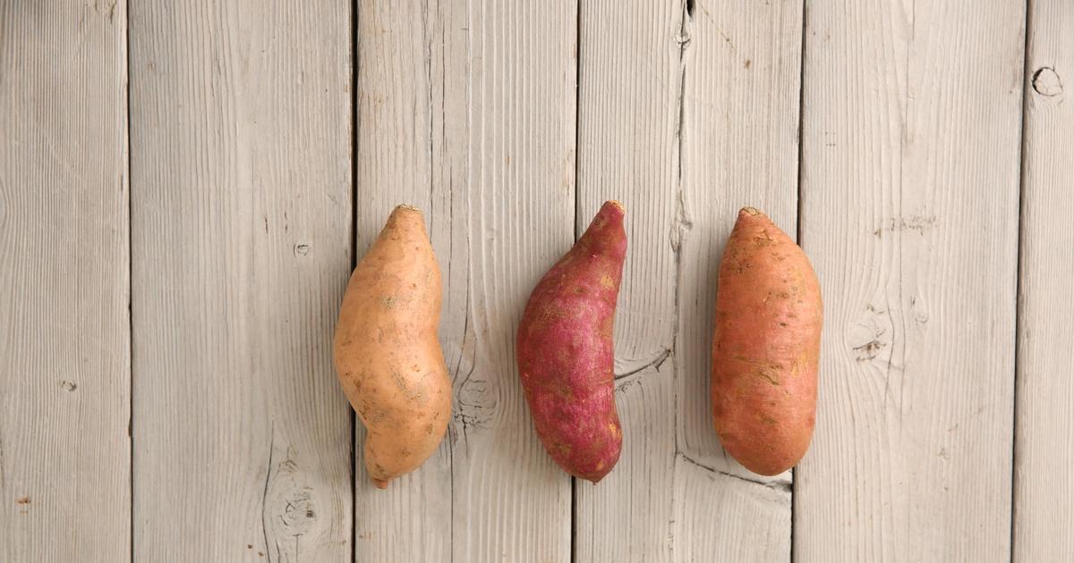 UNC-TV Science | A Sweet Potato Tale | PBS