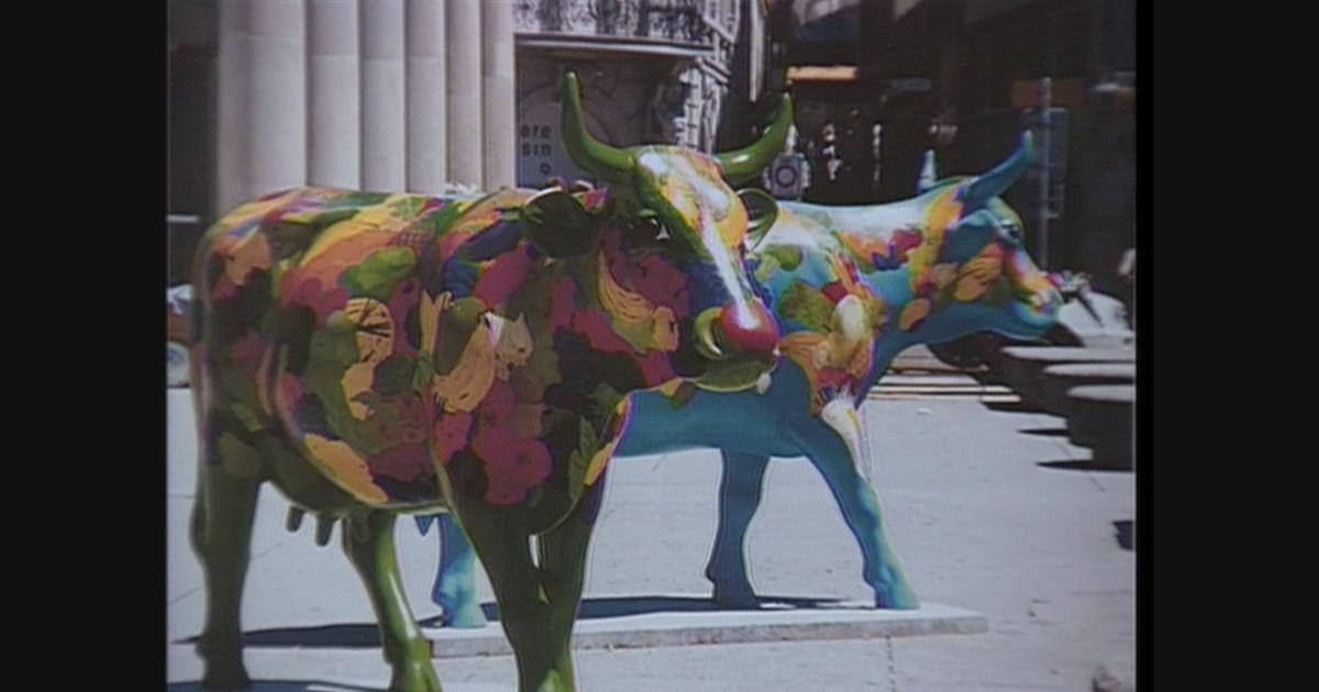 Chicago Tonight | Web Extra: Cows on Parade | Season 2018 | PBS