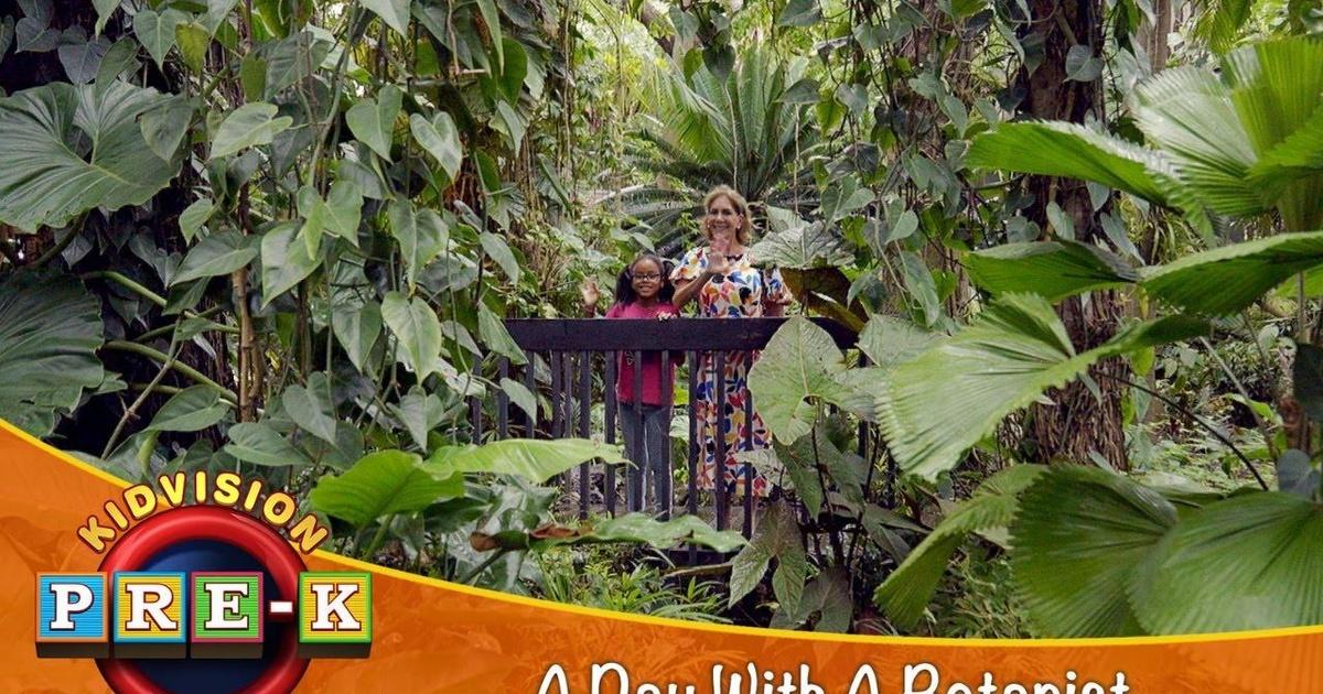 KidVision Pre-K | A Day With A Botanist | Virtual Field Trip | Season ...