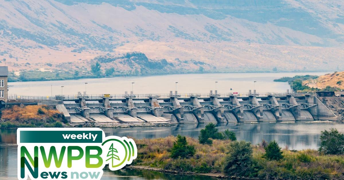 NWPB Weekly News Now | Snake River Dams, Tacoma Workers Bill of Rights ...