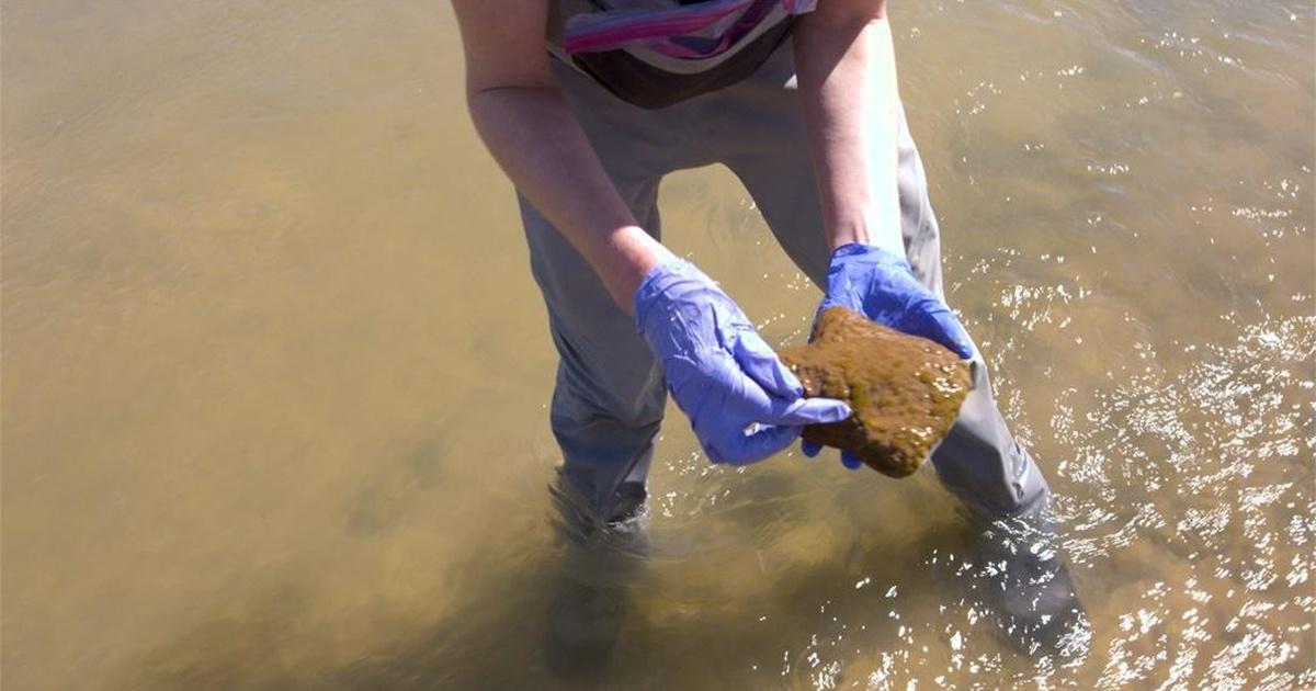 Utah Insight | The Water Quality Question | Season 5 | Episode 4 | PBS