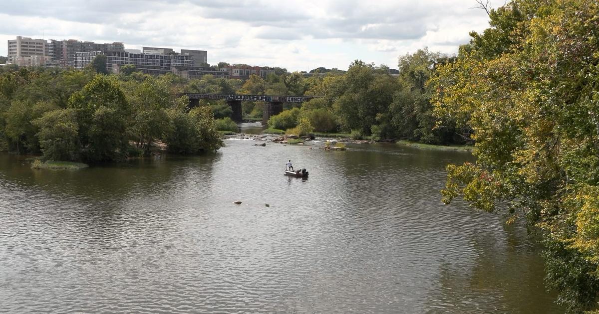VPM News | What you need to know about the Mayo Island Park ...