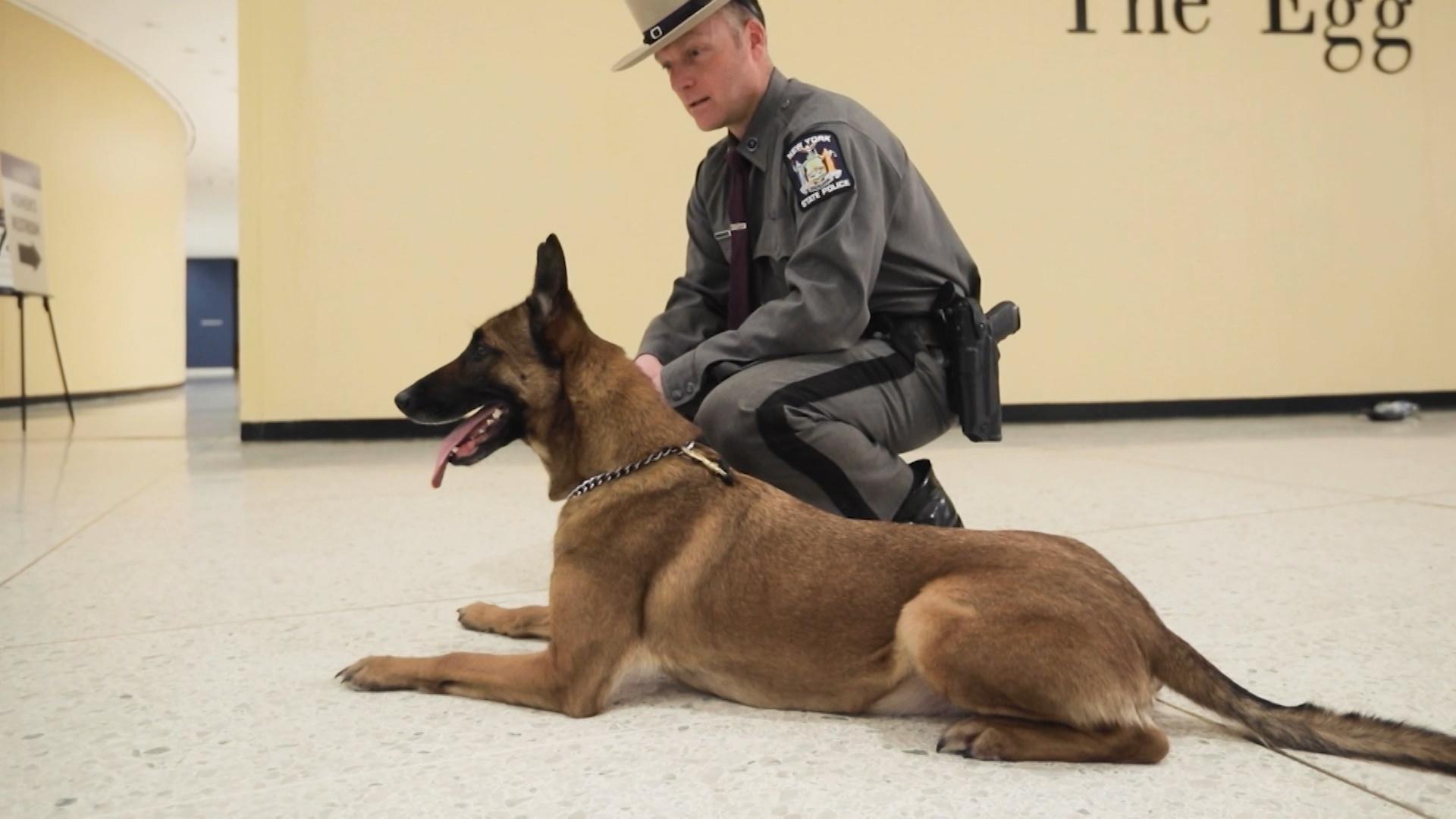 New York State Police Canine Unit | Camp TV | NJ PBS