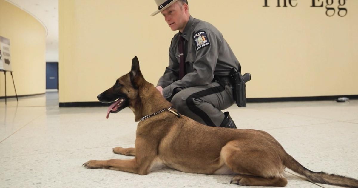 Camp TV | New York State Police Canine Unit | Season 2021 | PBS