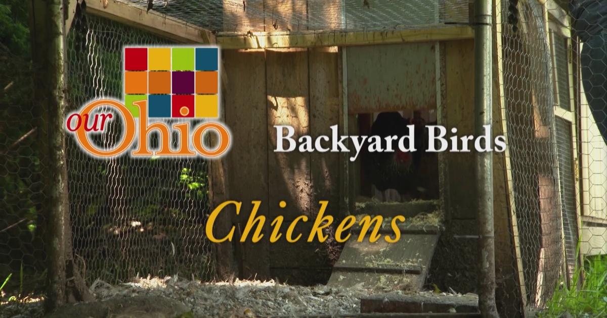 Our Ohio | Backyard Chickens | Season 11 | PBS