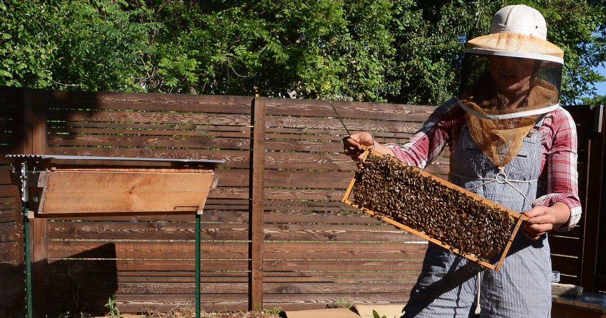 Central Texas Gardener | Beekeeping | Season 24 | Episode 6 | PBS