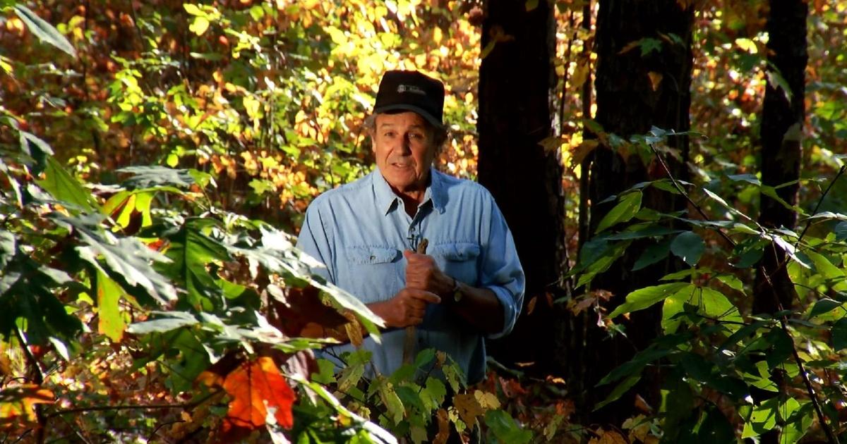Discovering Alabama | Private Forests | PBS