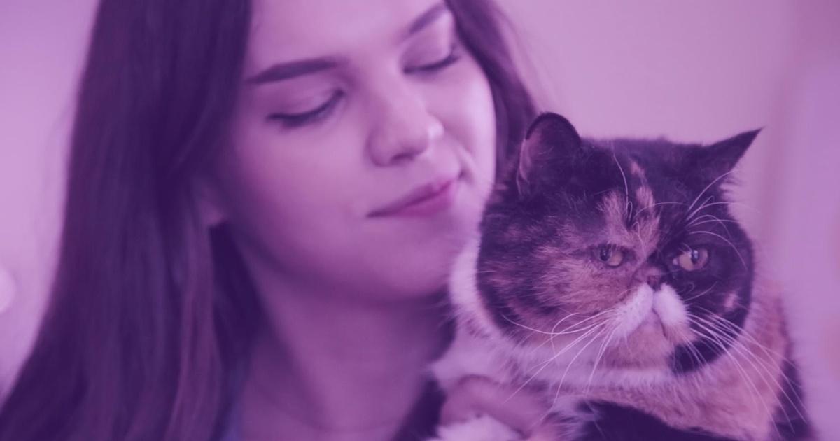 Rewire | How Kady Lone Made Her Cat Pudge Famous | PBS