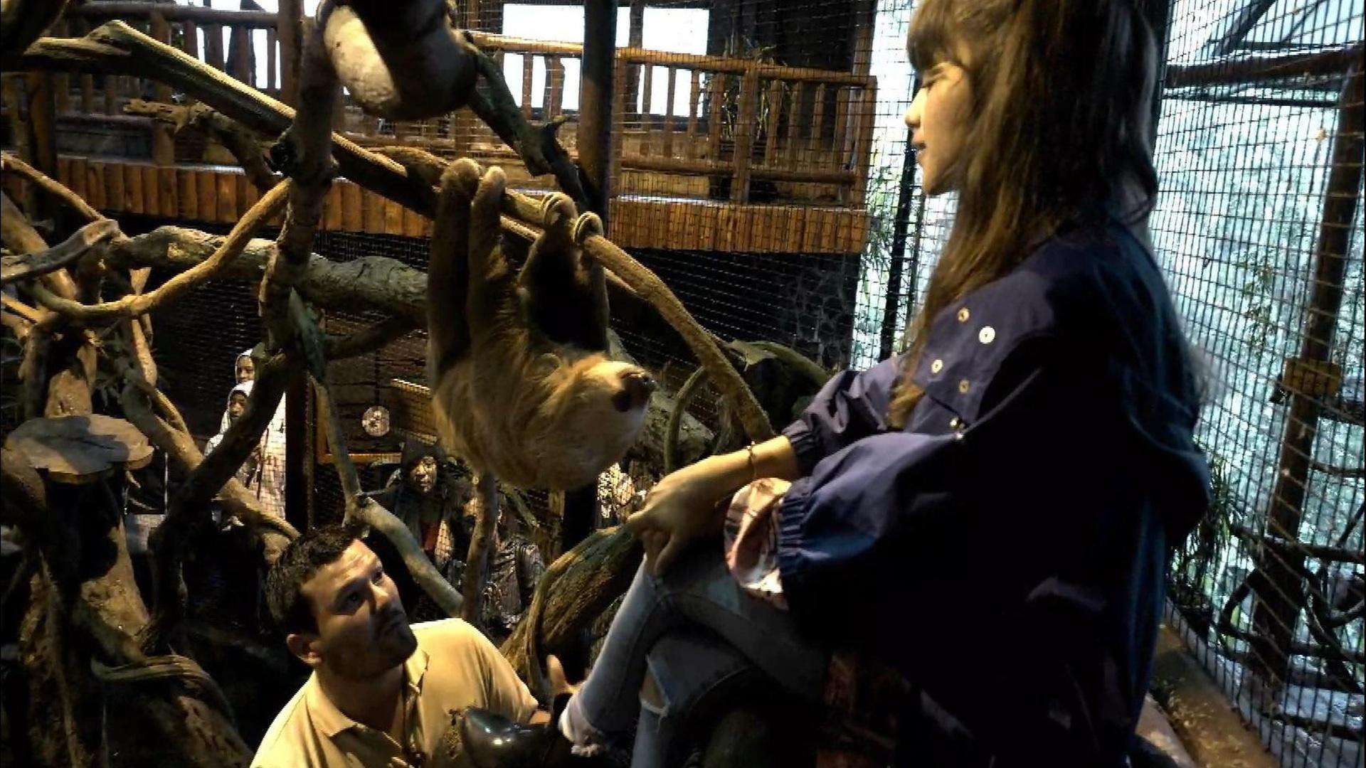 Kid Stew 201 | Kid Stew | THIRTEEN - New York Public Media