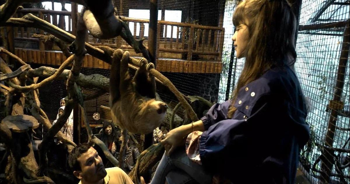 Kid Stew | Kid Stew 201 | Season 2 | Episode 201 | PBS