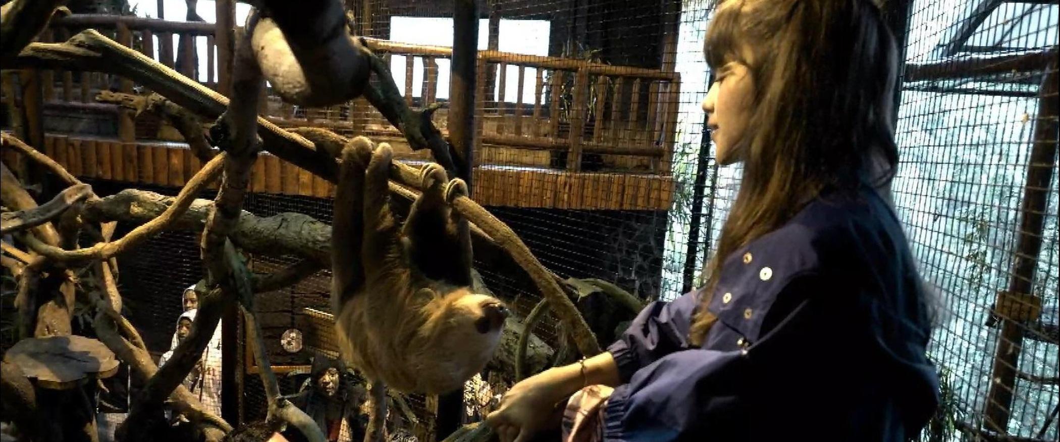 Kid Stew | Video | WLIW