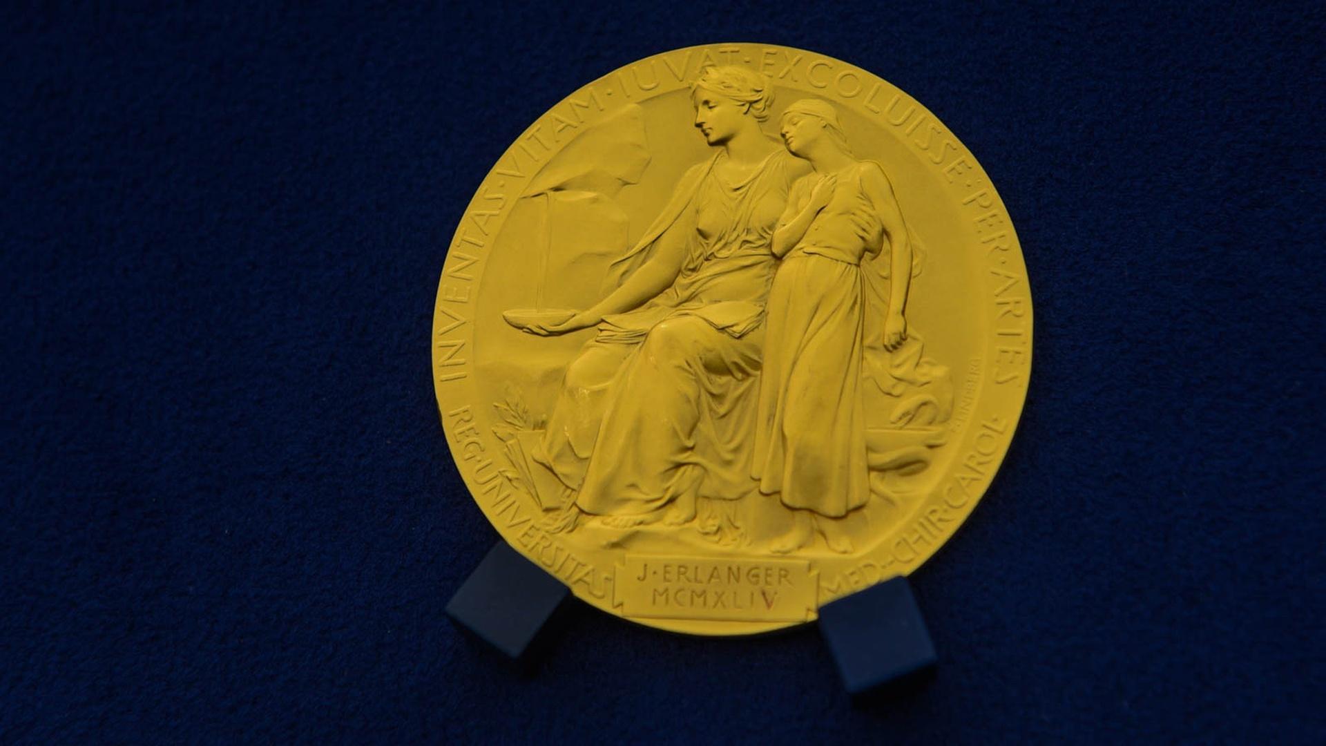 Appraisal: 1944 Joseph Erlanger's Nobel Prize & Diploma | Antiques ...