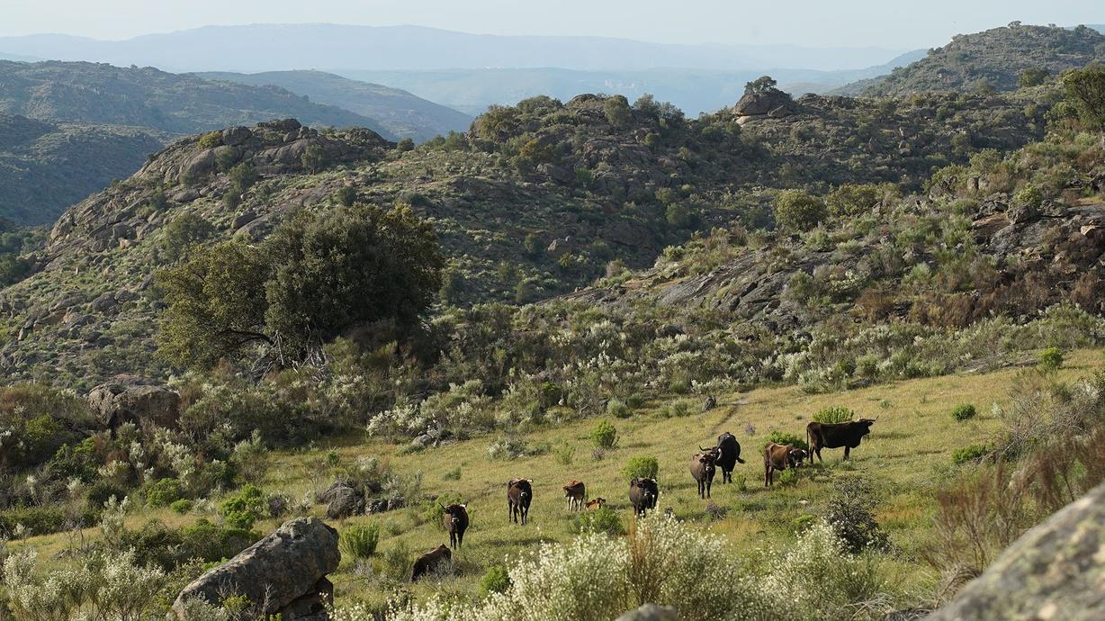 Return of the Titans | Watch on PBS Wisconsin