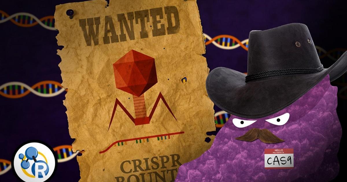 Reactions | Genetically Modified Humans? CRISPR/Cas 9 Explained ...