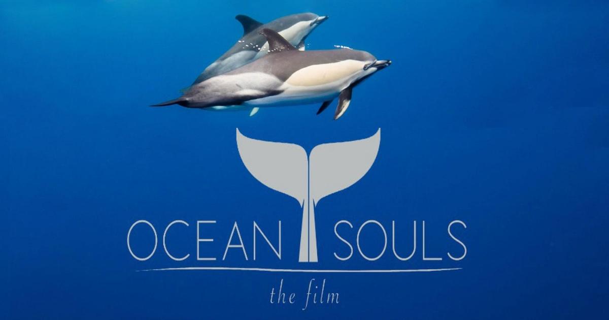 Ocean Souls | PBS