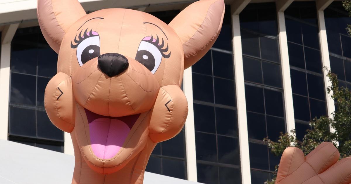 rootle | Rootle Wonderland + 2019 State Fair - Thank You! | PBS