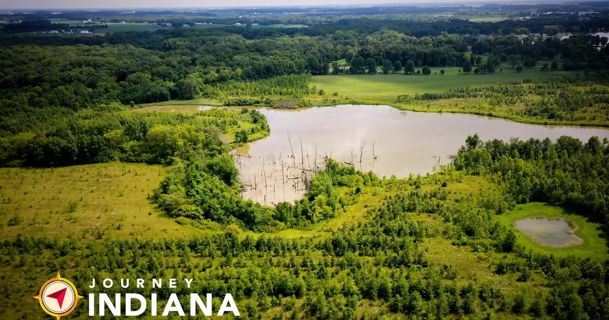 Journey Indiana | Ambassadors of the Limberlost: Touring the Swamp that ...